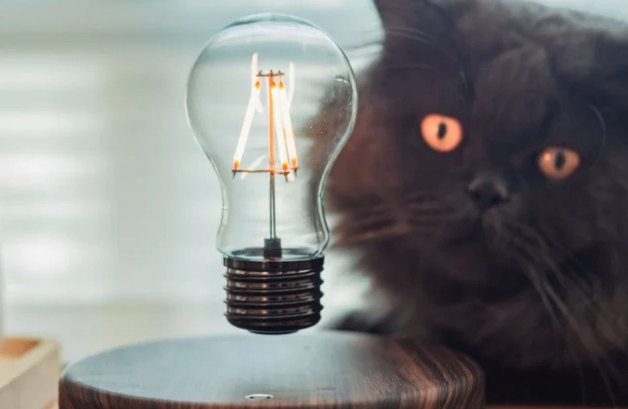 Why Lamps Make the Best Spring Gifts: A Bright Idea