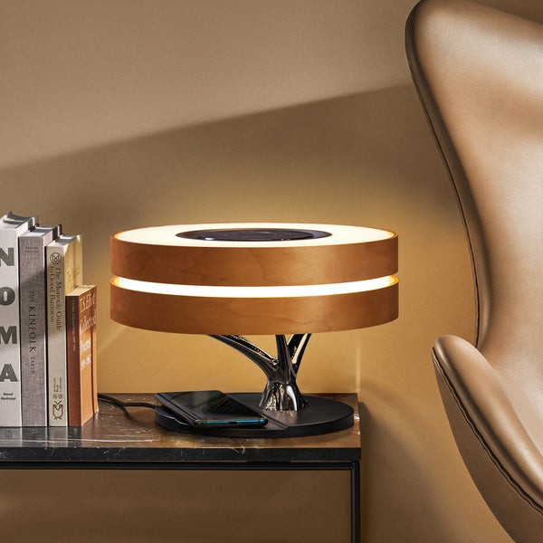 Circle of Life Lamp | Premium Materials | Best Gift Choice